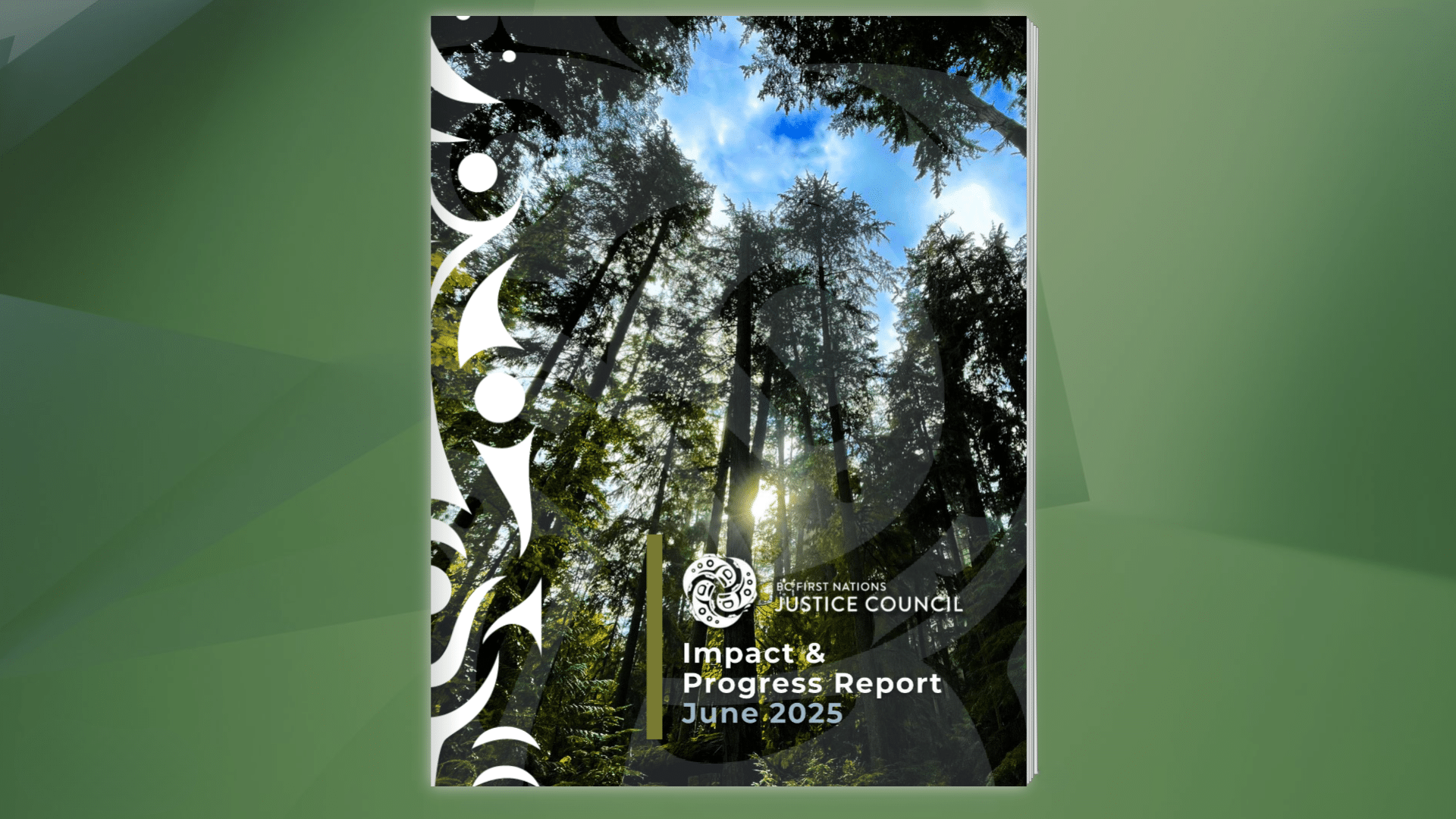 BCFNJC Impact & Progress Report June 2025