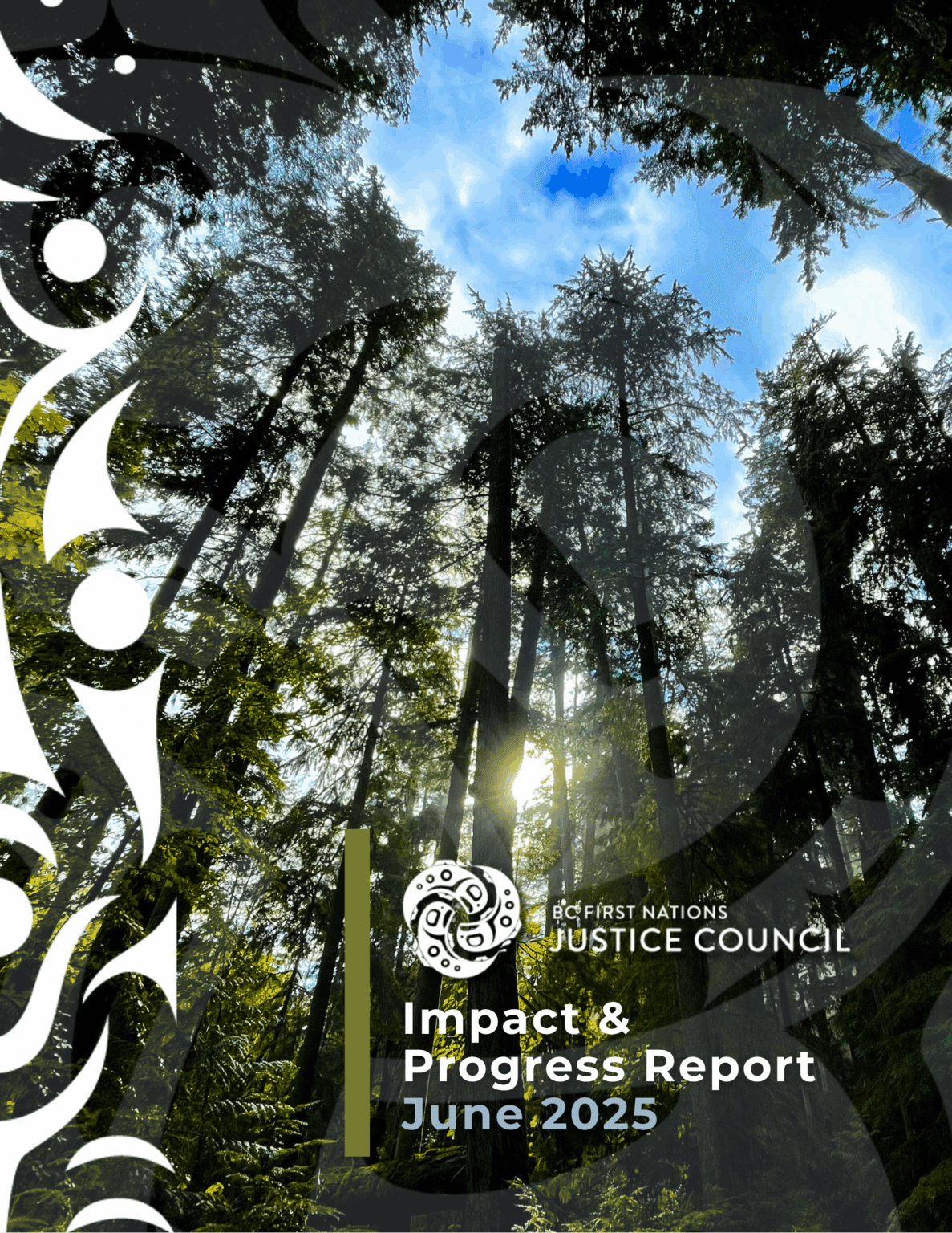 Reports & Publications - BC First Nations Justice Council